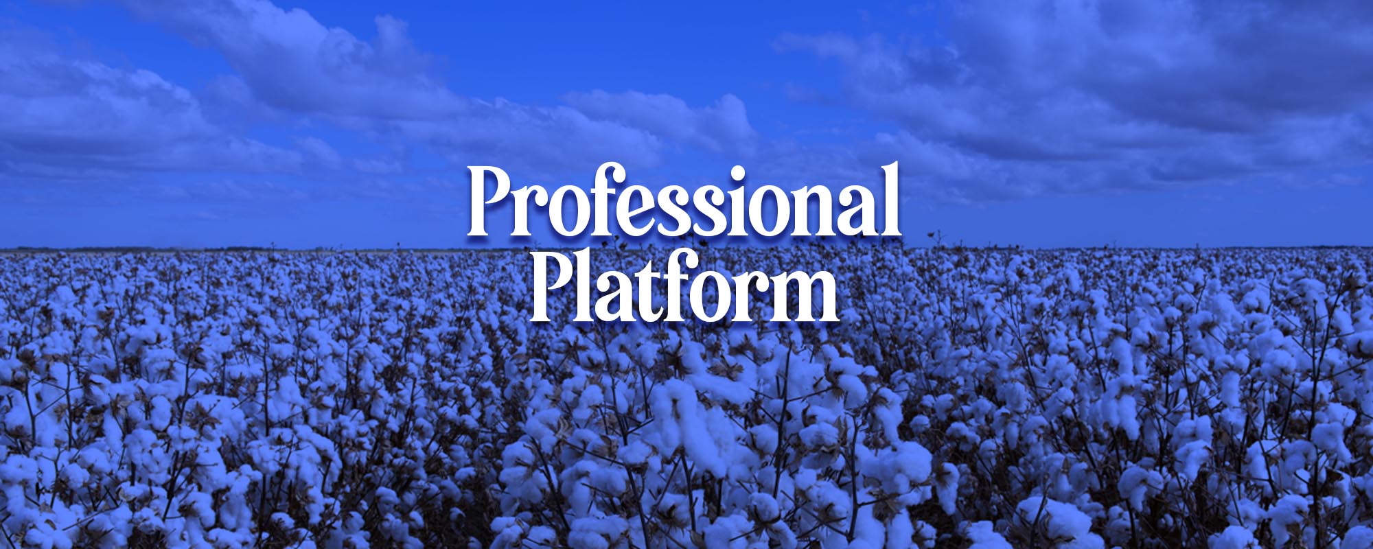 Business Platform | Eucotton